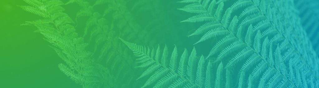 Home - AI Forum